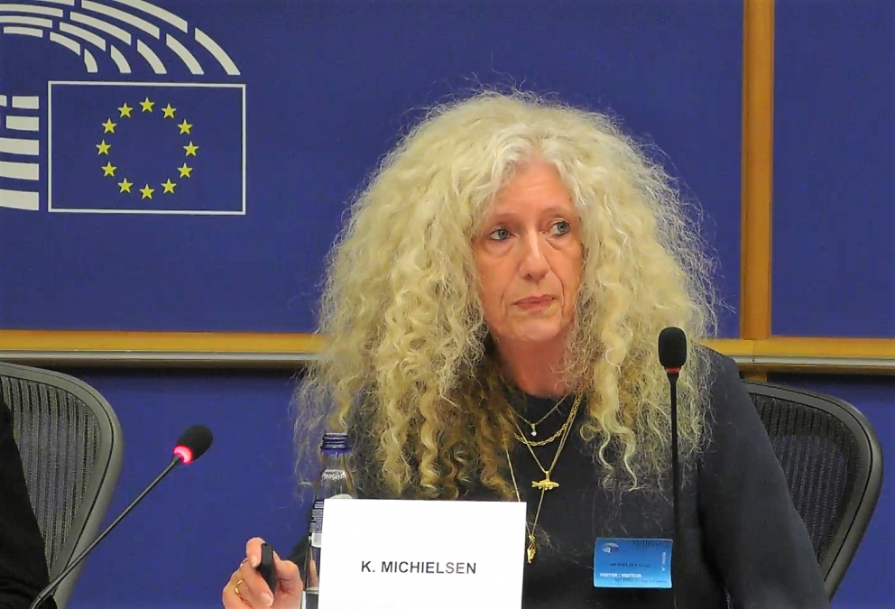 HPCQS Coordinator Kristel Michielsen Presents the Project at European ...